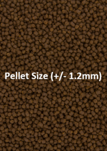 Cichlid Omni Pellets | Ocean Nutrition
