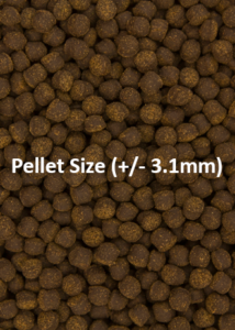 Cichlid Omni Pellets | Ocean Nutrition